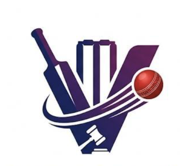Vardhaman CricBid - Cricket Auction Software | Smart Automatic Player ...